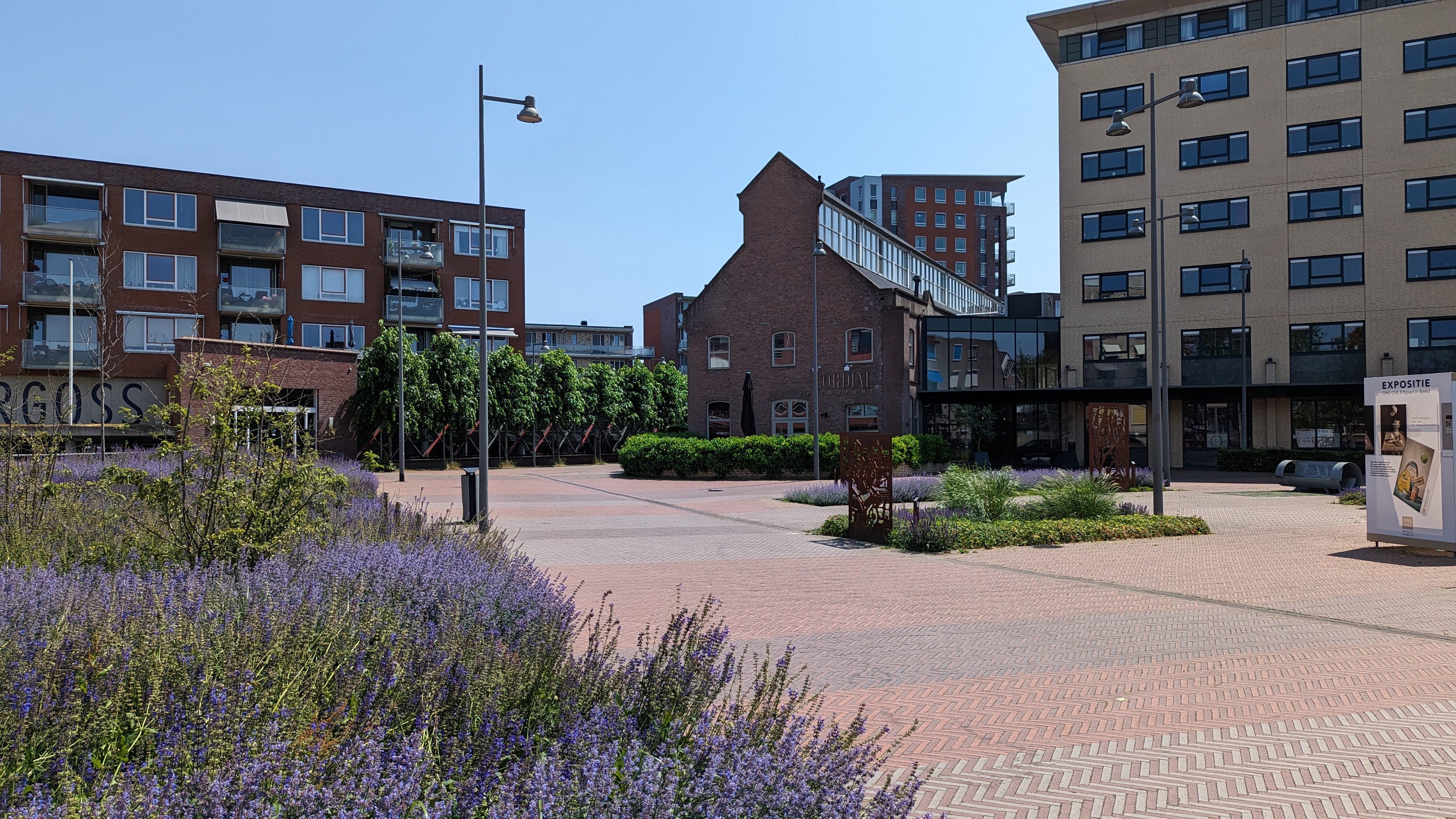 Wandeling door Berghkwartier met stadsgids | Schadewijk Oss